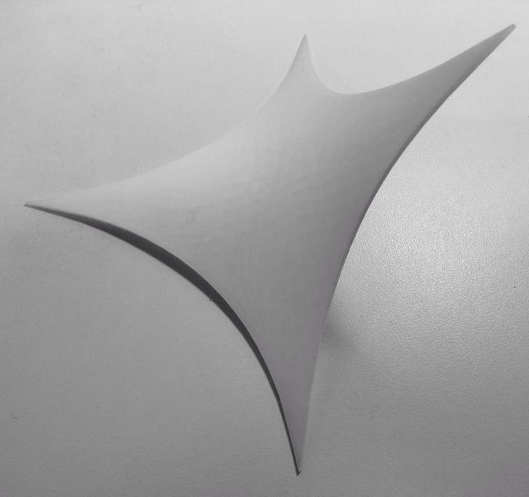 membrane from 3D printing | Sang J LEE